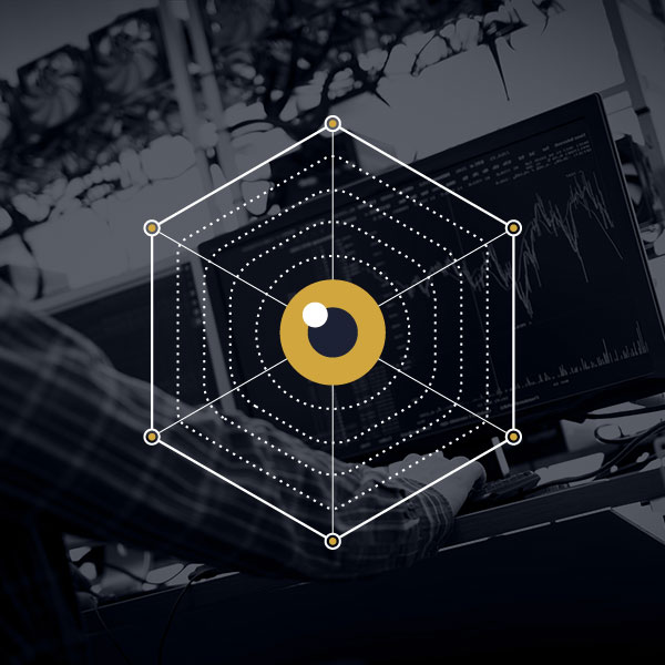 Software monitorización y provisión de redes ⋆ OBSERVER